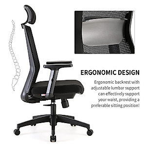 SIHOO Ergonomic Home Office Chair, Swivel Desk Chair with Adjustable Lumbar Support and Armrests, Breathable Mesh High Back Executive Chair (Black)