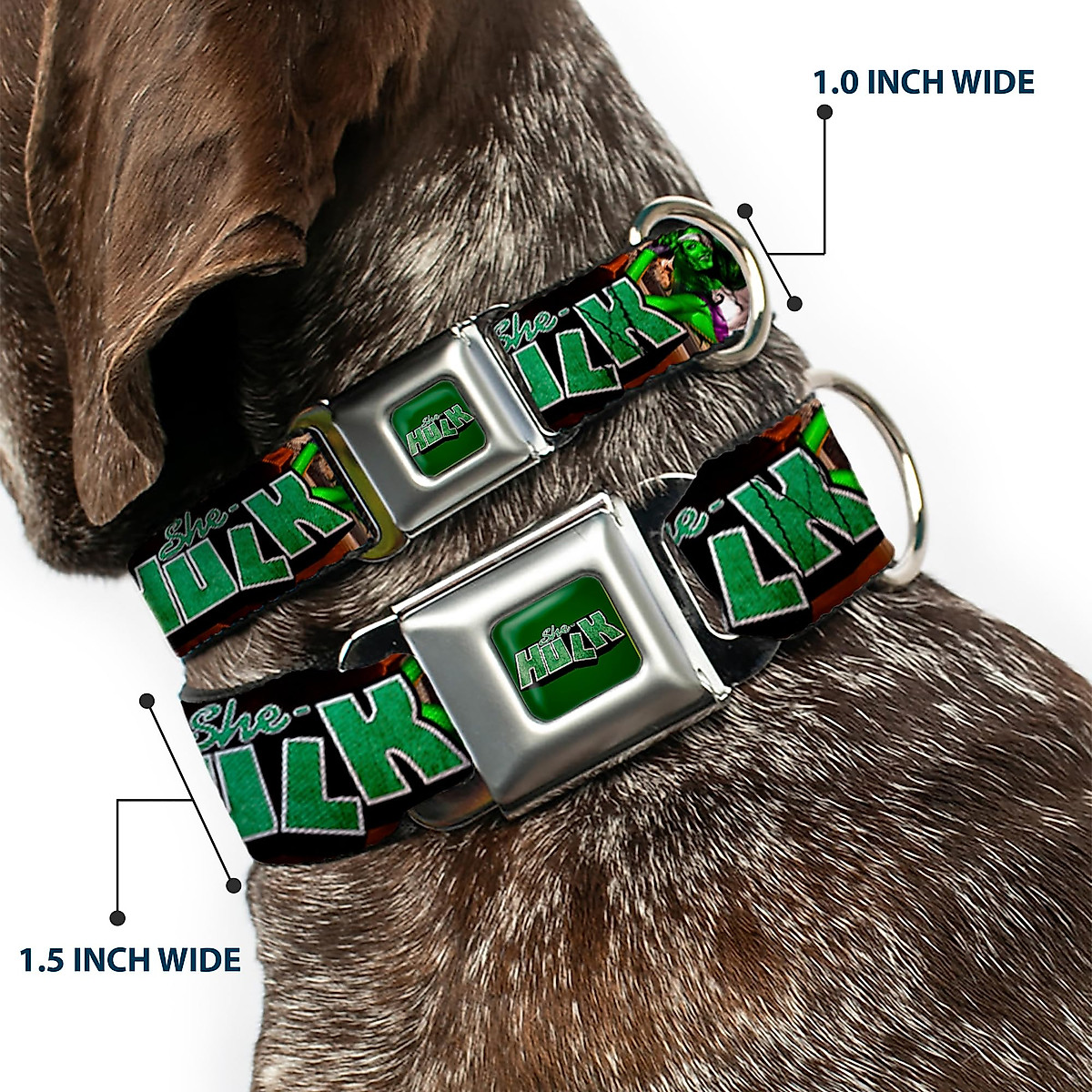 Dog Collar Seatbelt Buckle She Hulk Comic Book Cover Poses Rocks 15 to 26 Inches 1.0 Inch Wide, DC-WXM022-L