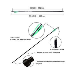 PANDARUS Archery 30inch 8mm Fiberglass Hunting Practice Arrows with Replaceable Arrowhead Spine 500 for Recure and Compound Bow Target