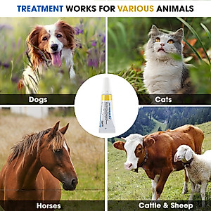 TERRAMYCIN + BUNKERBOX |Antibiotic Eye Ointment w/ Metal Box Bundle - 3.5g Tube | Infection Treatment for Dogs, Kittens, & Horses Shipped in Metal Box