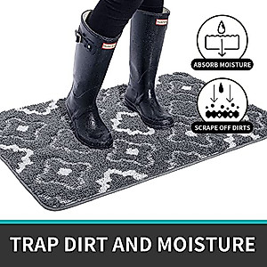 DEXI Door Mats Indoor, Durable Absorbent Non Slip Front Door Rugs for Inside House, Low Profile Easy Clean Entrance Mat, 36"x24", Grey