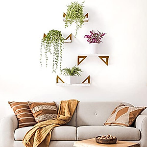 Titanape White Floating Shelves for Bedroom Living Room Decor Aesthetic, Solid Wood Wall Mounted Shelves with Gold Brackets for Bathroom Kitchen Storage Bookshelf for Wall Office Decor