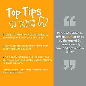 ARM & HAMMER Fresh Spectrum 360° Degree Toothbrush for Puppies and Small Dogs, Best Dental Care for your Dog, Brush Deep Cleans all Tooth Surface & Removes Plaque, Quick & Easy to Use Puppy Oral Care