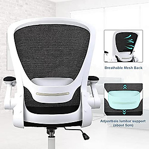 Ergousit Home Office Chair, Ergonomic White Desk Chair Adjustable Mesh Computer Chair with Lumbar Support and Larger Seat Flip UP Armrest Swivel Executive Chair, 250Lbs Capacity (White)