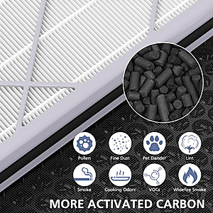 HE601 H13 True HEPA Replacement Filter Compatible with Shark Air Purifier 6 (HE601 & HE602), #HE6FKPET, 1 Pack