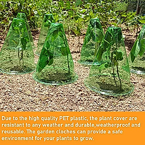 【24 Pack】 Garden Cloches for Plants, Multifunctional Plant Cover Plant Protectors Transparent Bell Jar Cloches Protection Plants from Birds, Slugs, Frost, Freeze Weather, 7.8" D x 9.4" H, Green