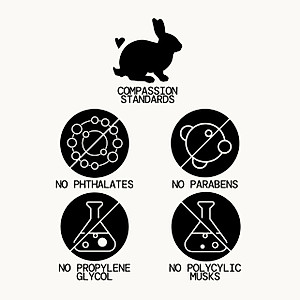 Pacifica Beauty, Wanderlust Spray Perfume Trial Set, Featuring Island Vanilla Mini, 5 Scents, Fragrance Sampler Gift Set, Natural + Essential Oils, Clean, Vegan + Cruelty Free