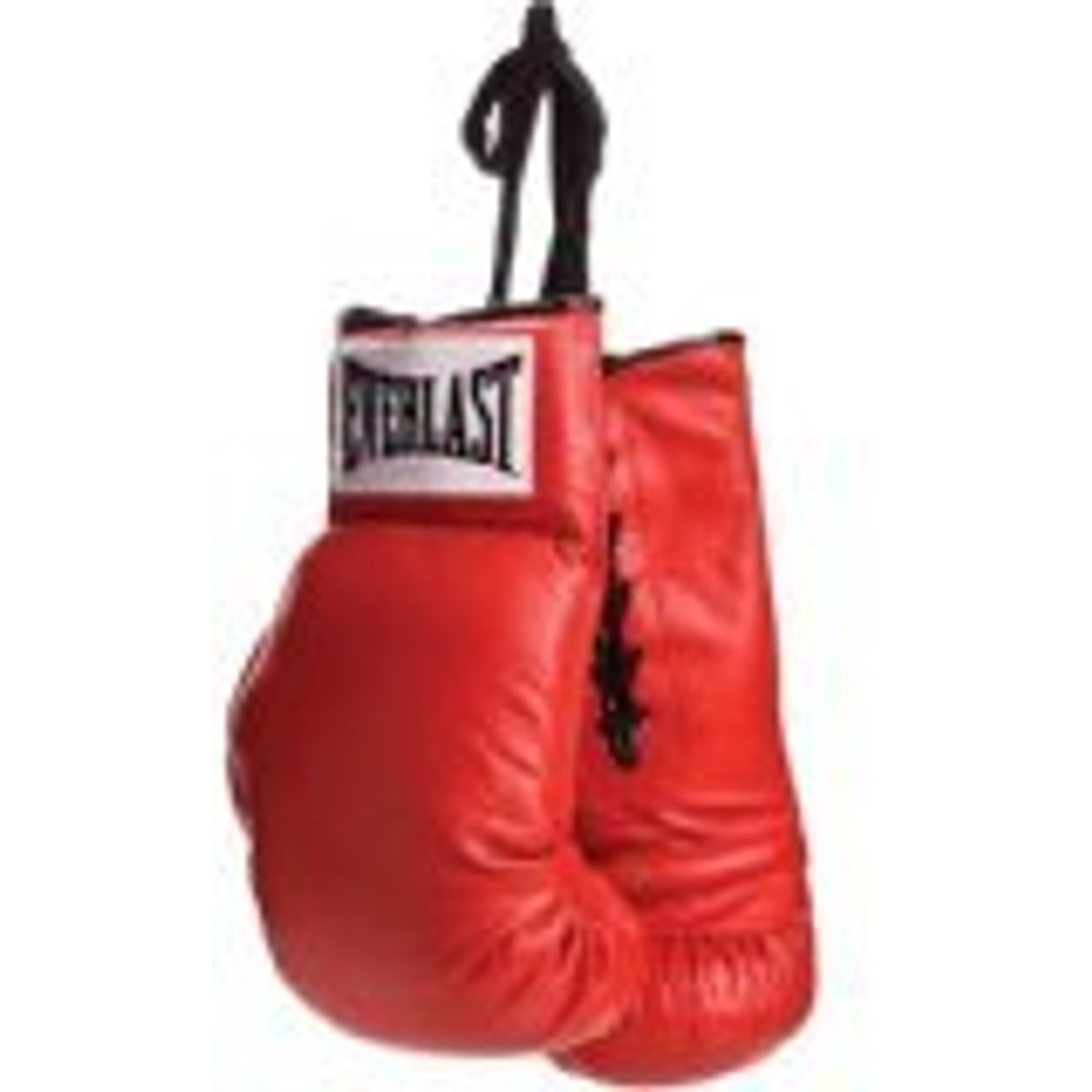 Everlast Leather Autograph Gloves