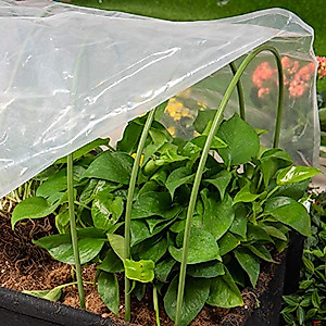 10pcs Garden Greenhouse Hoops, 19.7"x19.7" Grow Tunnel for Raised Bed, Bendable Rust Free Metal Gardening Hoop Houses Frame for Plant Cover Support Garden Fabric Low Growing Plant