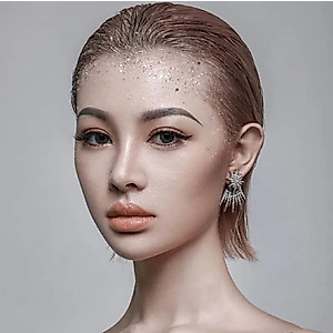 Go Ho Hair and Body Glitter Spray,Festival Glitter Powder Makeup for Hair/Body/Clothes,Silver Glitter Spray Loose Sparkle Powder Makeup for Body Highlighter,Festival Rave Accessories,10g