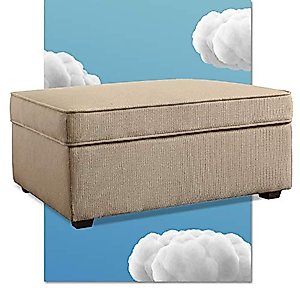 Serta Olin Storage Ottoman with Lid, Contemporary Design, Hinged Lid, Can Be Used as Footrest or Extra Seat, Easy Assembly, Beige