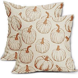 Aytipun Fall Pillow Covers 18x18 Set of 2 Burnt Orange Pumpkin Autumn Thanksgiving Harvest Decorative Throw Pillows Outdoor Cushion Case Sofa Couch Bed Decor