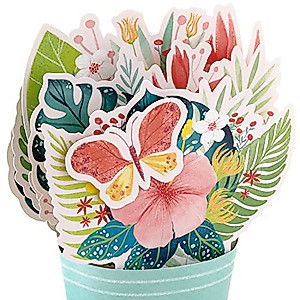 Hallmark Paper Wonder Pop Up Card for Mothers Day, Graduation, Administrative Professionals Day or Nurses Day (Displayable Bouquet)