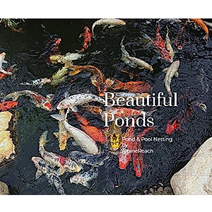 AlpineReach Koi Pond Netting Kit 15 x 20 ft Black Heavy Duty Woven Fine Mesh Net Cover for Leaves - Protects Koi Fish from Blue Heron Birds, Cats & Predators – Reusable & Stakes Included