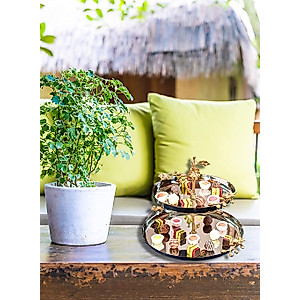 Serene Spaces Living Orchid Stem Two Tiered Serving Stand, Stainless Steel Display Tray for Fruits, Cookies, Macarons, Cakes, Pastry, Appetizer, 12" Tall, Tiers- 10" & 12.5" Diameter