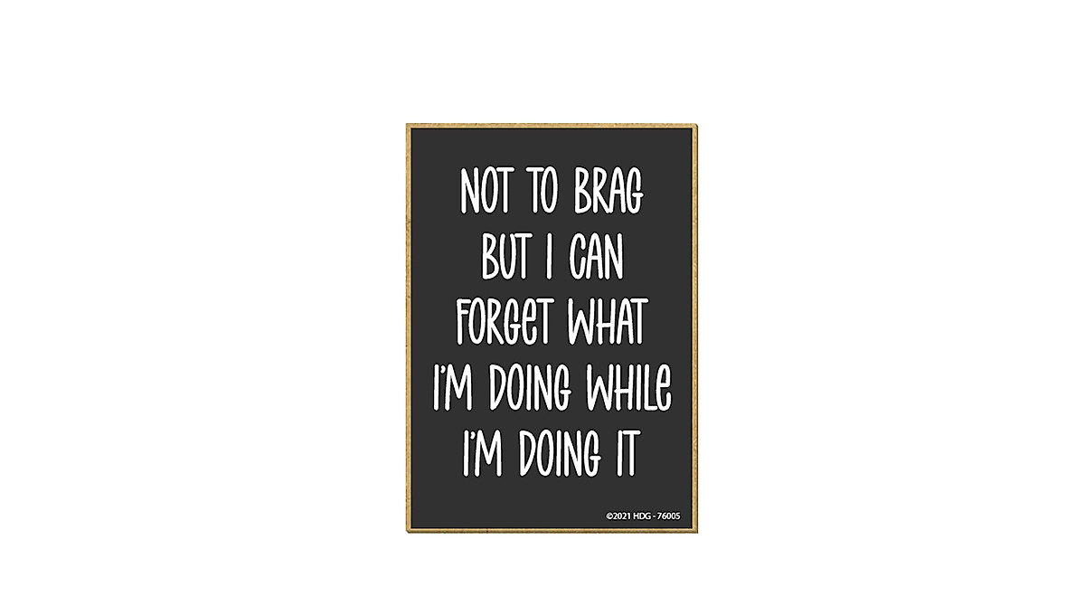 Funny 'Not to Brag' Fridge Magnet | Honey Dew Gifts