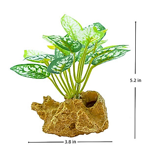 MRTIOO Reptile Artificial Plants, Terrarium Plants Decorations Supplies, Amphibian Habitat Hideout Tank Accessories, Rainforest Ground Plant