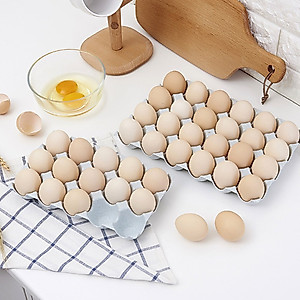 LOLPI Creative Egg Storage Box Refrigerator Egg Storage Container , 15 Compartment Design Plastic Egg Holder for Refrigerator