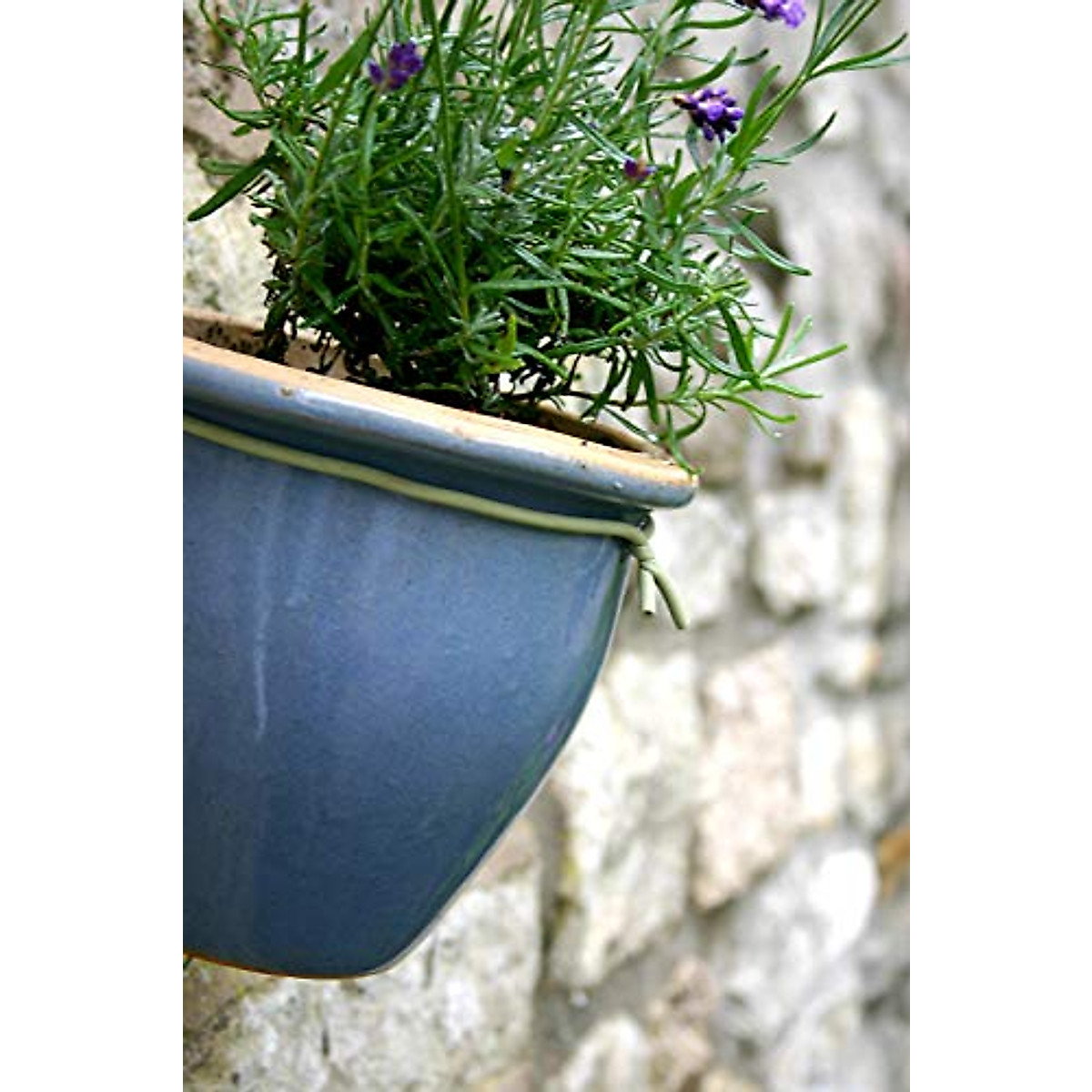 Tierra Garden 50-3010 Haxnicks Slim Soft Tie for Plants & Trees, 26.3', Green