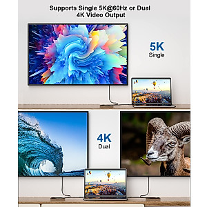 SHENGWEI Thunderbolt 3 Cable 2.3 ft, USB C Cable Supports 40Gbps Date Transfer 100W Charging(20V 5A) Single 5K@60Hz Monitor, Ideal for Type-C MacBook, Dell, Apollo, Pixel, Docking, Hub and More