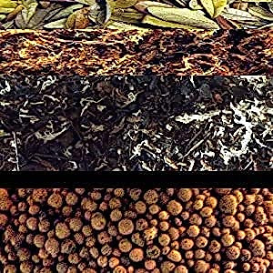 Josh's Frogs Bioactive ABG Substrate Vivarium Bundle- Extra Small