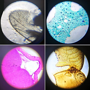 Science Kits for Kids Beginner Microscope with LED 100X 400X and 1200X-Include Sample Prepared Slides (1)