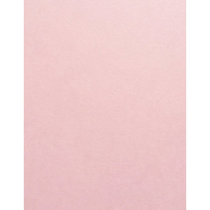 Cardstock Warehouse Pop Tone Pink Lemonade - 8.5 x 11" - 65 Lb. / 175 Gsm Matte Premium Cardstock Paper - 50 Sheets