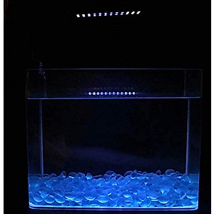 Gorgeous Aquarium Decorated with Aquarium Decorations Glass Beads Aquarium, 1LB Enough Decorative Gravel Rock Gravel Pebbles gem (Dark Blue)