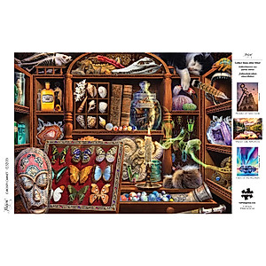 Buffalo Games - Curiosity Cabinet - 1000 Piece Jigsaw Puzzle