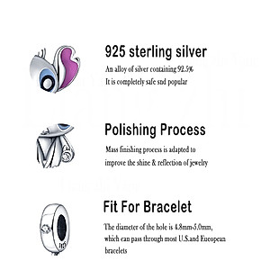 HappyStar Charm Bead fits Charms Bracelets Necklace European Jewelry ，925 Sterling Silver Dangle Pendant Bead for Woman Jewelry Beads Gifts （With one Spacer Bead Charms