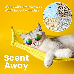 Cat Litter Deodorizer | Litter Box Odor Eliminator | Fragrance-Free with Active Carbon | Eliminates Cat Odors and Smells to Keep Your Home Fresh and Clean (25 LBs)