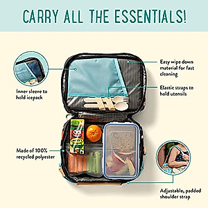 PlanetBox Rover Stainless Steel Bento Lunch Box with 5 Compartments for Adults and Kids, Space Animals Carry Bag and Magnets