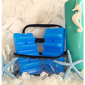 Ice Pack and Safety Case Set for Breastmilk Bags - carigro Brand - Insert for Breastmilk Cooler Bag (3 Items)