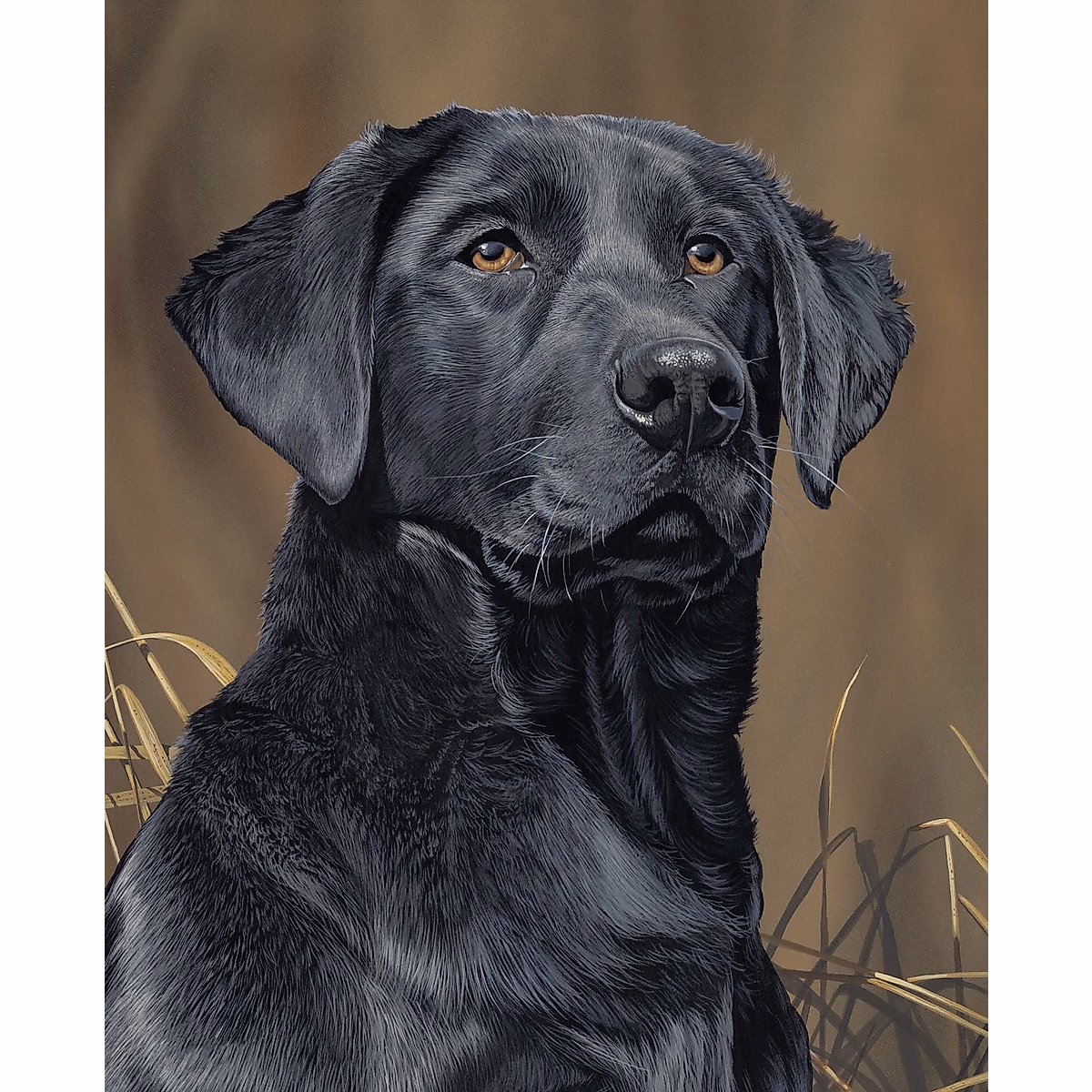 Large Black Lab Dog Labrador Cotton Fabric Panel 36 X 44 David Textiles ML 3488
