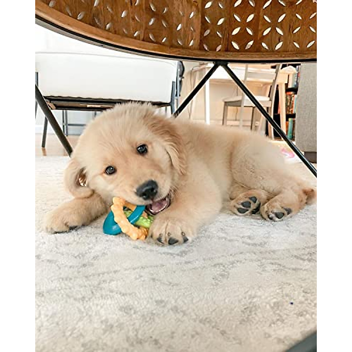 Nylabone Puppy Power Rings Chew Toy - Tough and Durable Puppy Chew Toy for Teething - Puppy Supplies - Bacon Flavor, Small (1 Count)