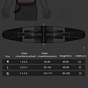 UOOD Low Back Support Belt - Lumbar Support Brace with Reinforcing Springs - Adjustable Elastic Men Womens Belt Sport Lumbar Brace, Pain Relief and Injury Prevention Relieves Pain (Size : L)