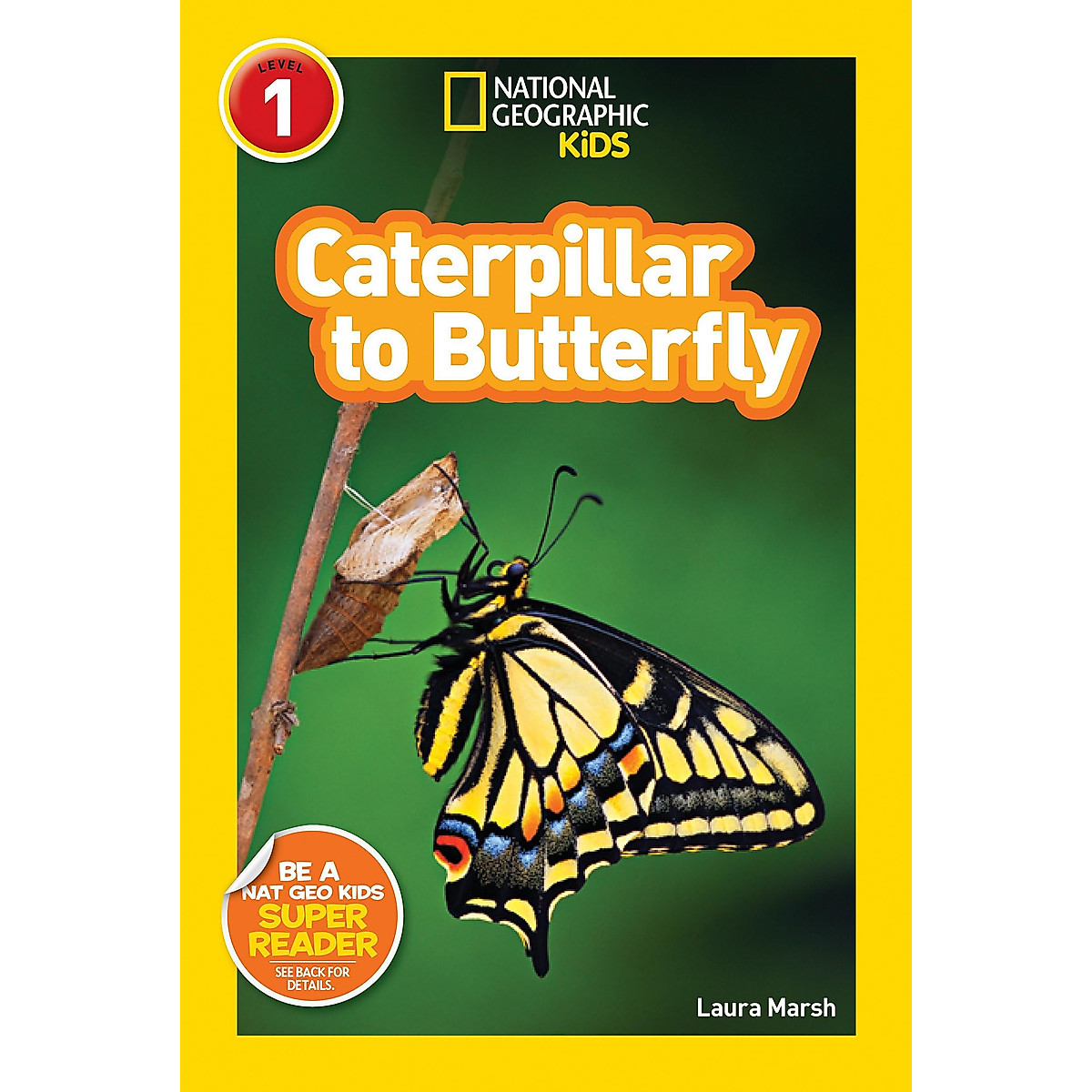 Caterpillar to Butterfly (National Geographic Kids Explore! Readers, Level 1) (National Geographic Kids Readers)
