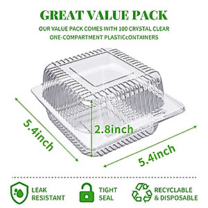 Jaojaopn 100 Pcs (5.3x 4.7 x 2.8) Disposable Clear Plastic Containers with Lids for Food, To Go Containers, Sandwich Salad Cake Slice Dessert Clamshell Take Out Clam Shell Food Containers.
