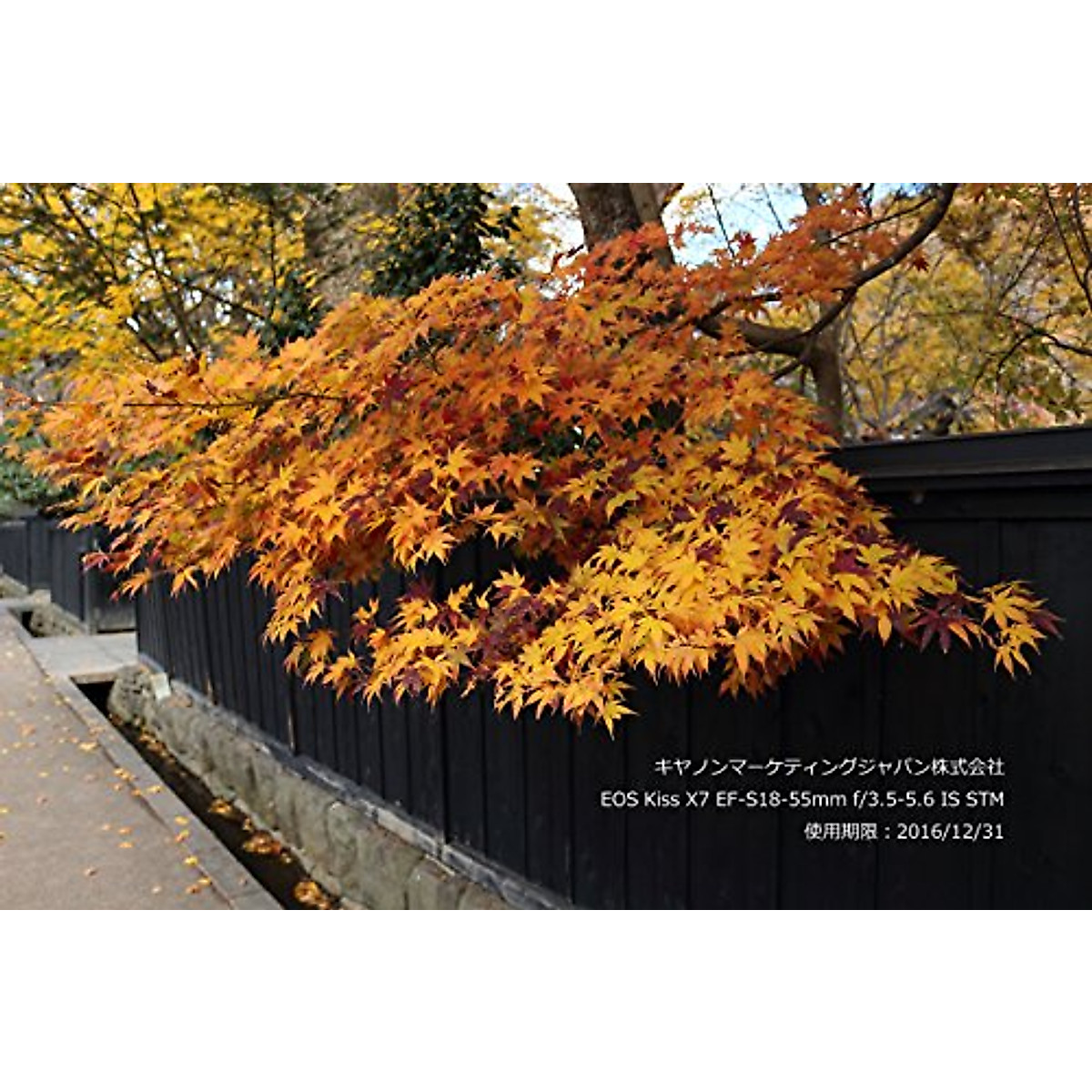 Canon DSLR Camera EOS Kiss X7 with EF-S18-55mm is STM - International Version (No Warranty)