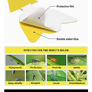 48 Pcs Multi-Sized Sticky Trap For Fungus Gnat (Plants), Flying Insect, Fly, Beautify & Liveliness, Usable In Various Size Pot, Yellow Insect Trap For Indoor, Outdoor, Kitchen & Plant, 3-Shape, 3-Size