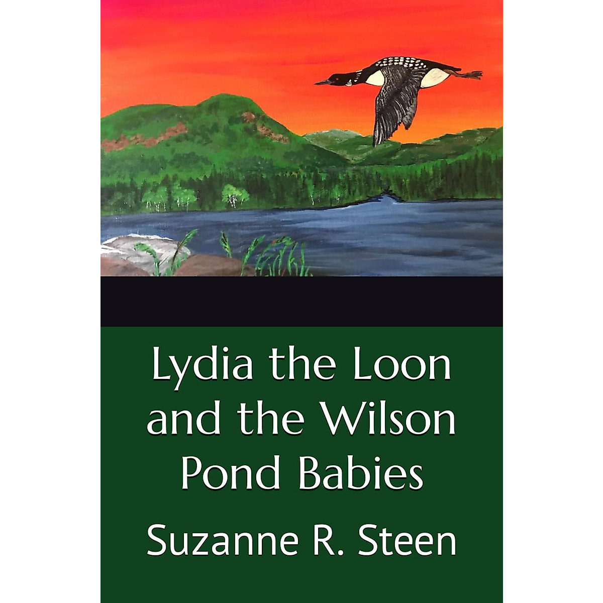 Lydia The Loon And The Wilson Pond Babies