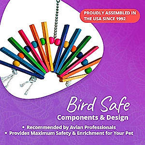 Super Bird Creations SB702 Peacock Sr. Bird Toy, Large Bird Size, 14” x 11” x 1.5”