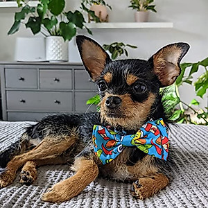 H&K Bow Tie for Pets | Cinco Fiesta (Small) | Velcro Bow Tie Collar Attachment | Fun Bow Ties for Dogs & Cats | Cute, Comfortable, and Durable | Huxley & Kent Bow Tie