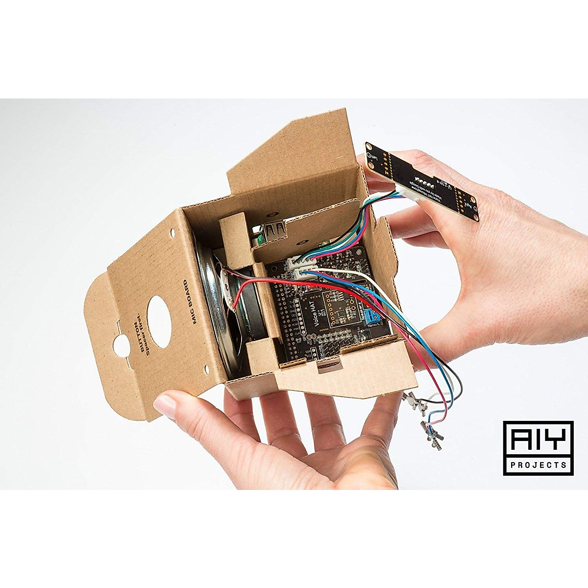 Google AIY Voice Kit