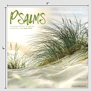 2023 Psalms Mini Wall Calendar