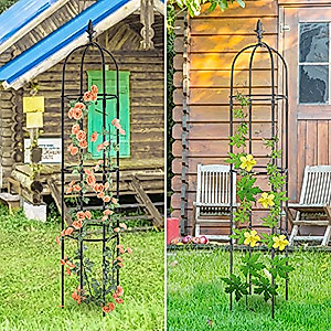 Garden Obelisk Trellis for Climbing Plants, Rustproof Plastic Coated Metal Plant Support, Garden Tower Trellis Indoor Potted Plant, Tomato Plant Cage for Support Rose, Vegetable Vines(2 Pack)