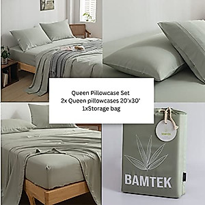 Bamtek 100% Viscose Bamboo Sheets Queen Size Bed - Super Soft and Silky Queen Sheets - Cooling Bamboo Sheets for Hot Sleepers - 4PC 17' Deep Pocket Queen Sheet Set and Pillowcases Set of 2 (Sage)