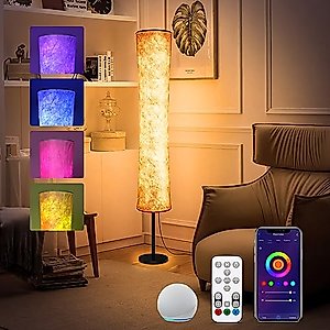 OurLeeme RGB Floor Lamp - LED Floor Lamps for Living Room Voice Control Modern Floor Lamp Standing Lamp Dimmable Colorful Floor Lamp for Bedroom Compatible with Alexa Google Home