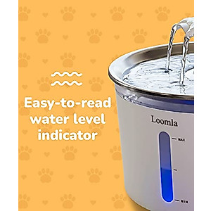 Loomla Cat Water Fountain, 85oz/2.5L Pet Water Fountain Indoor, Automatic Dog Water Dispenser with Switchable LED Lights, 2 Replacement Filters for Cats, Dogs, Pets（Stainless Steel）