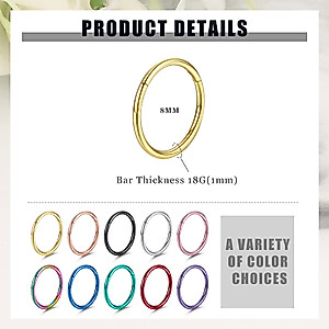 BESTEEL 10 Pcs 16G 18G Hinged Clicker Nose Rings Helix Cartilage Daith Hoop Earrings for Women Men Septum Tragus Sleeper Conch Piercing Earring Set 8-12MM